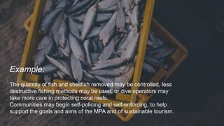Sustainable tourism scope in sustainable tourism | PPTX