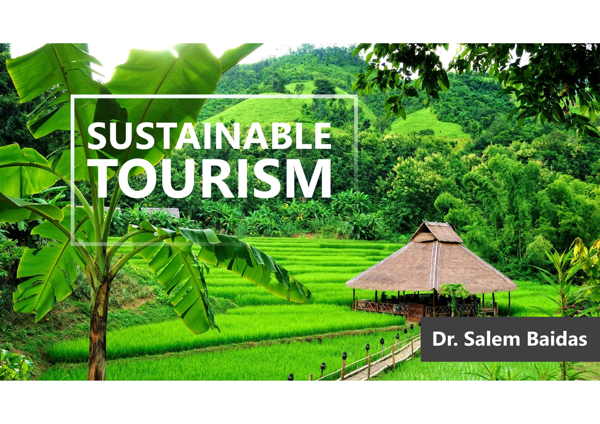 Sustainable Tourism | PDF