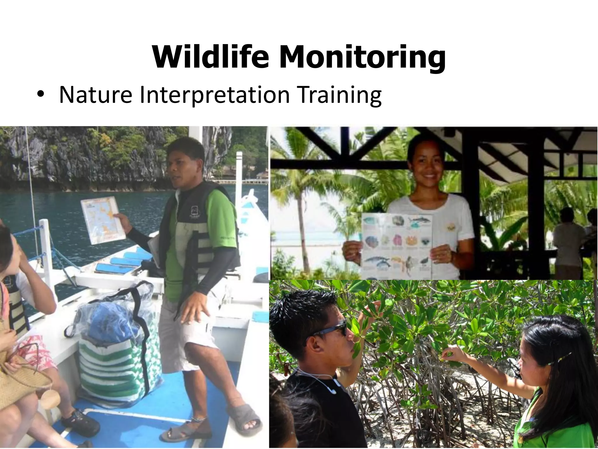 “Sustainable tourism for biodiversity conservation – Case study: El ...