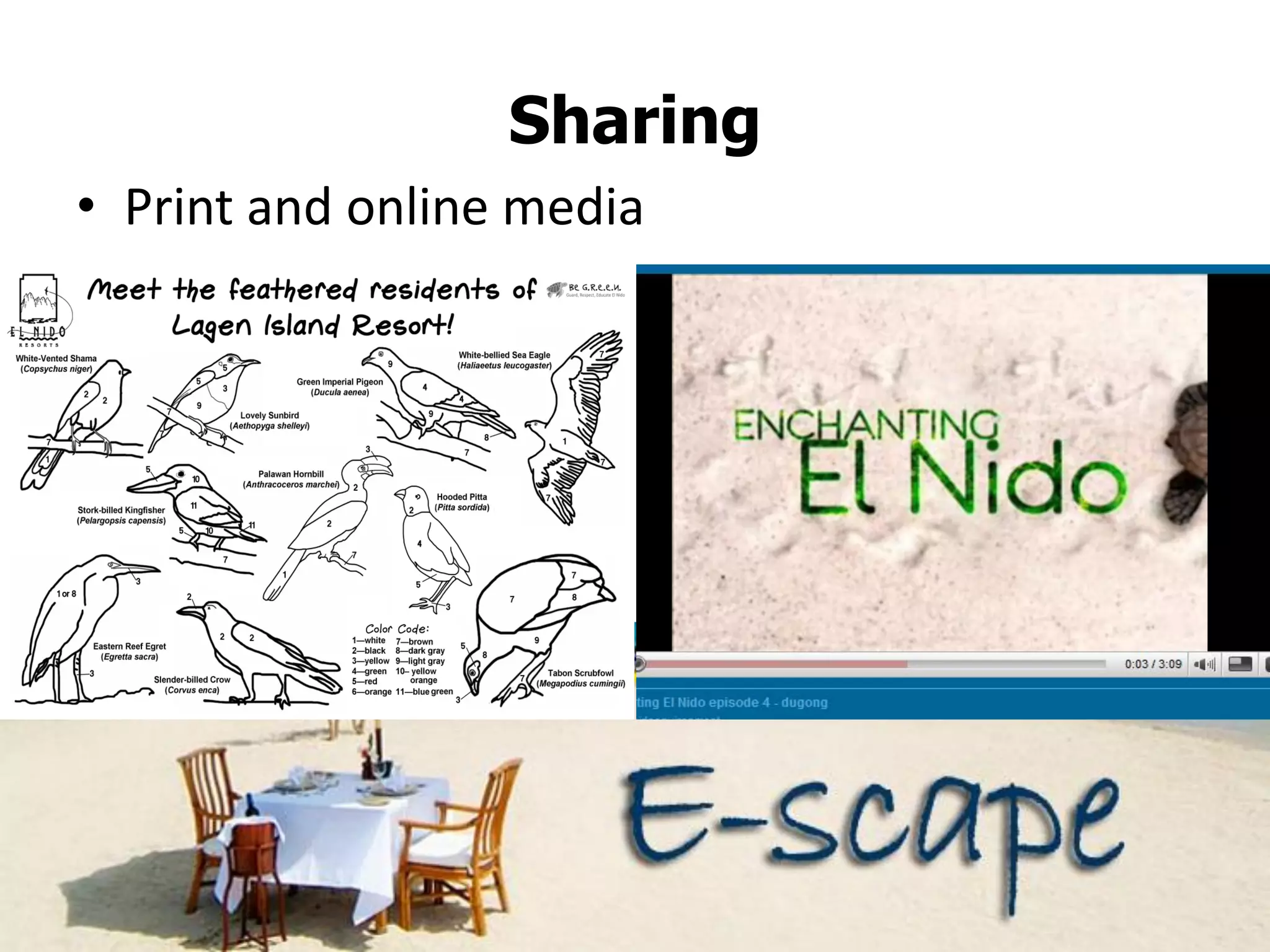 “Sustainable tourism for biodiversity conservation – Case study: El ...