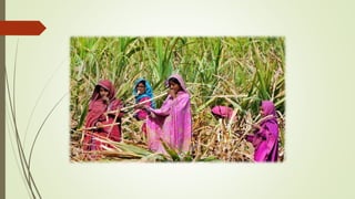 Exploring Sustainable Tourism Development in Rural Areas" | PDF