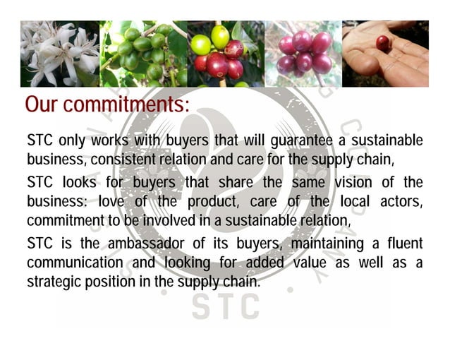 Sustainable Trading Company S.A. | PDF