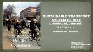 Sustainable Transport System of Copenhagen City.pdf
