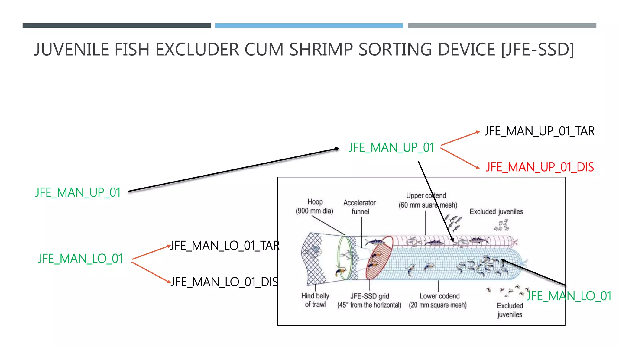 Sustainable trawl fishing and sampling methodology | PPT