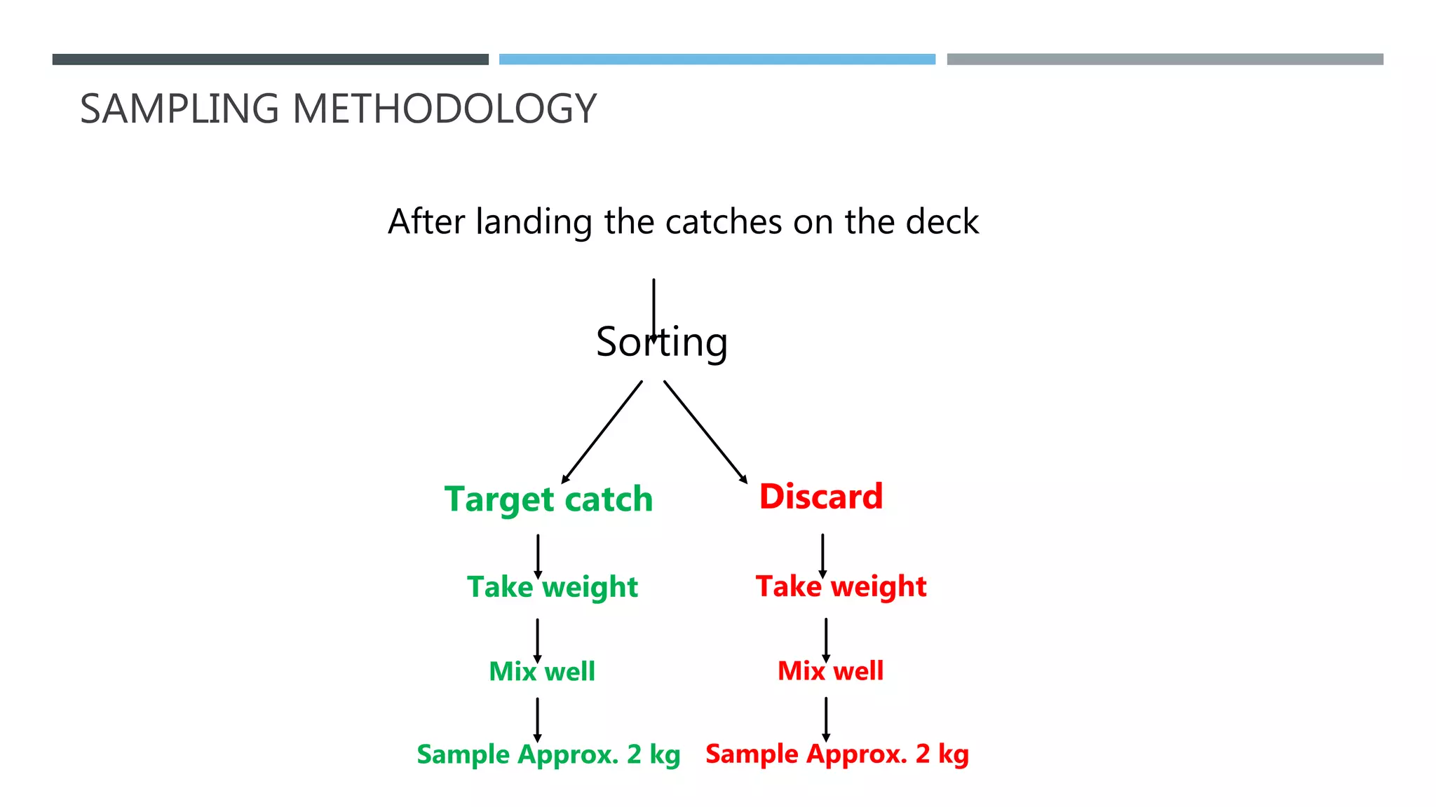 Sustainable trawl fishing and sampling methodology | PPT