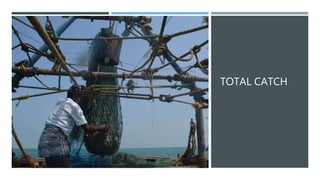 Sustainable trawl fishing and sampling methodology | PPTX