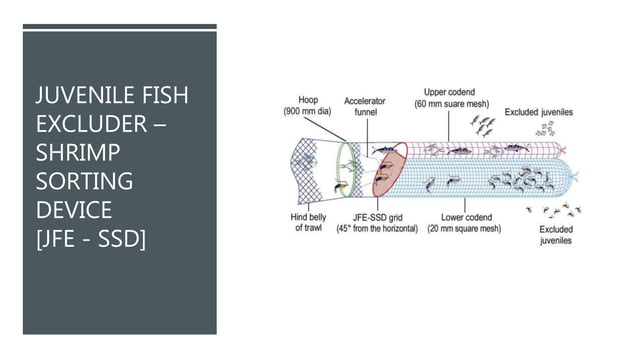 Sustainable trawl fishing and sampling methodology | PPT