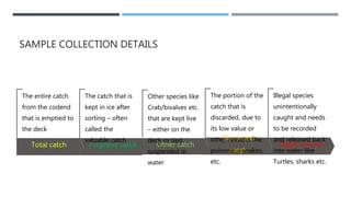 Sustainable trawl fishing and sampling methodology | PPTX