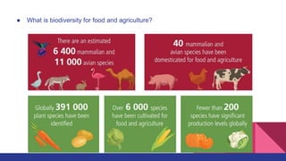 Sustainable use of biodiversity for food | PPT