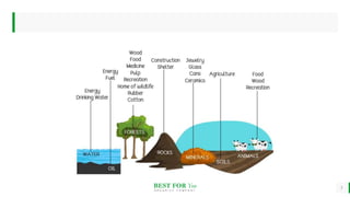 SUSTAINABLE USE OF NATURAL RESOURCES.pptx