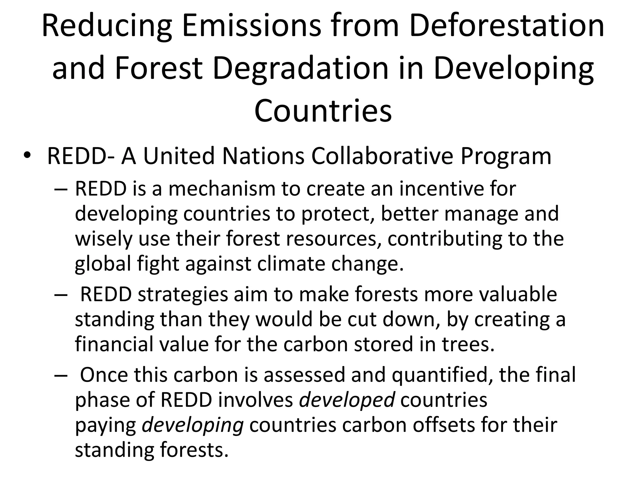Sustainable use of tropical rainforests | PPTX