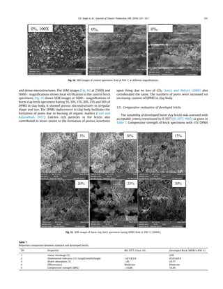 Sustainable utilization of deinking paper mill sludge for the manufacture of building bricks | PDF