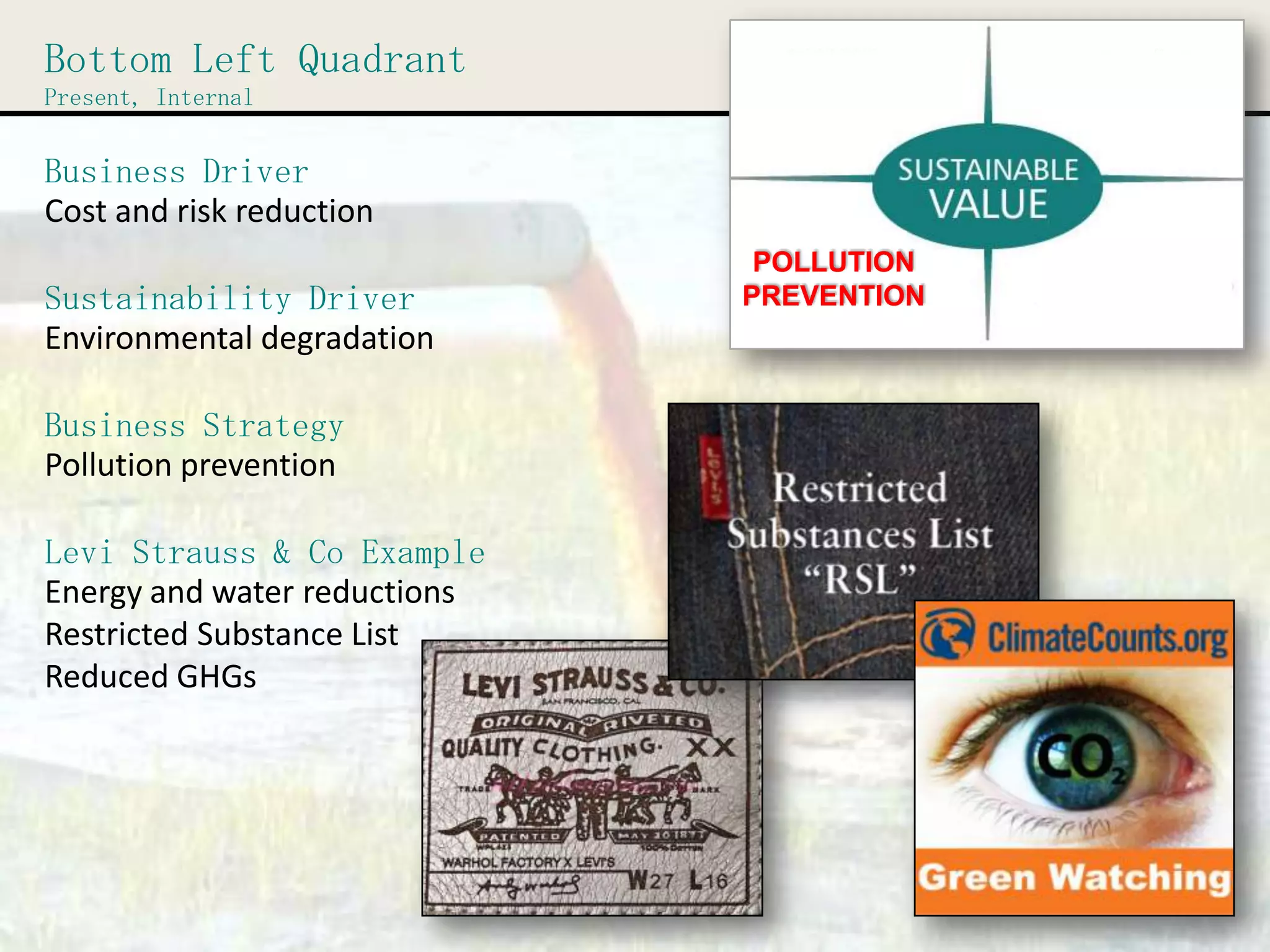 Sustainable Value Matrix | PPTX