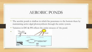 Sustainable waste water treatment treatement in rural areas | PPTX