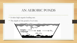 Sustainable waste water treatment treatement in rural areas | PPTX