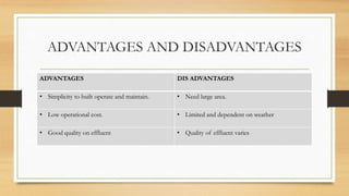 Sustainable waste water treatment treatement in rural areas | PPTX