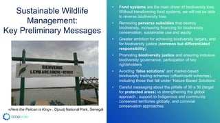 Sustainable Wildlife Management | PDF