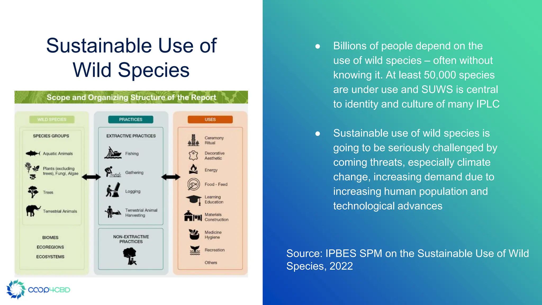 Sustainable Wildlife Management.PDF