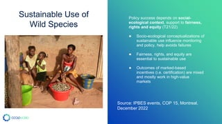 Sustainable Wildlife Management Pdf