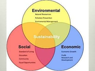 Sustainability Explained | PPTX