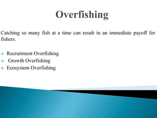 sustainablity issue in fisheries.pptx