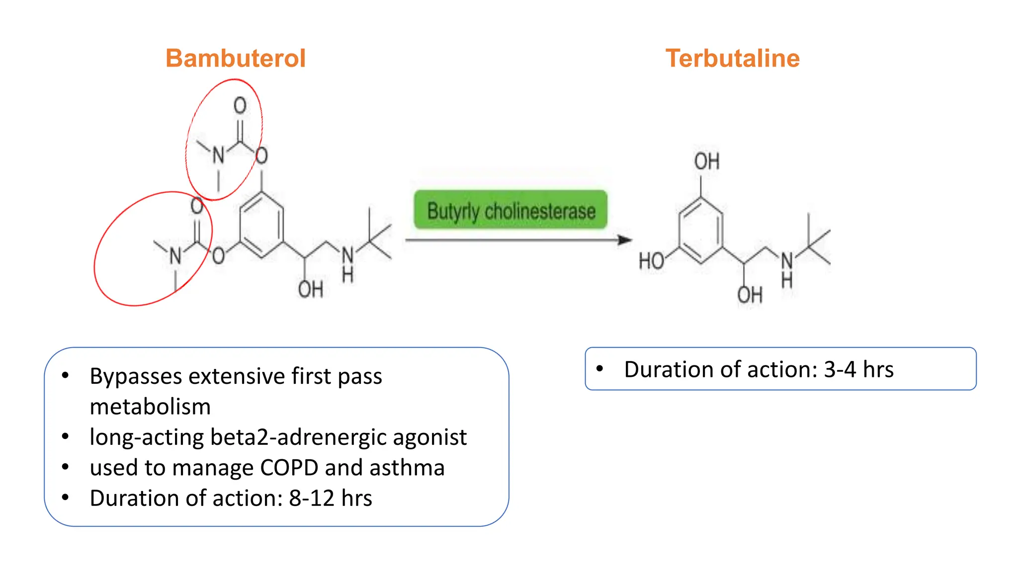 Prodrug design for Sustained Drug action -.KB.pptx