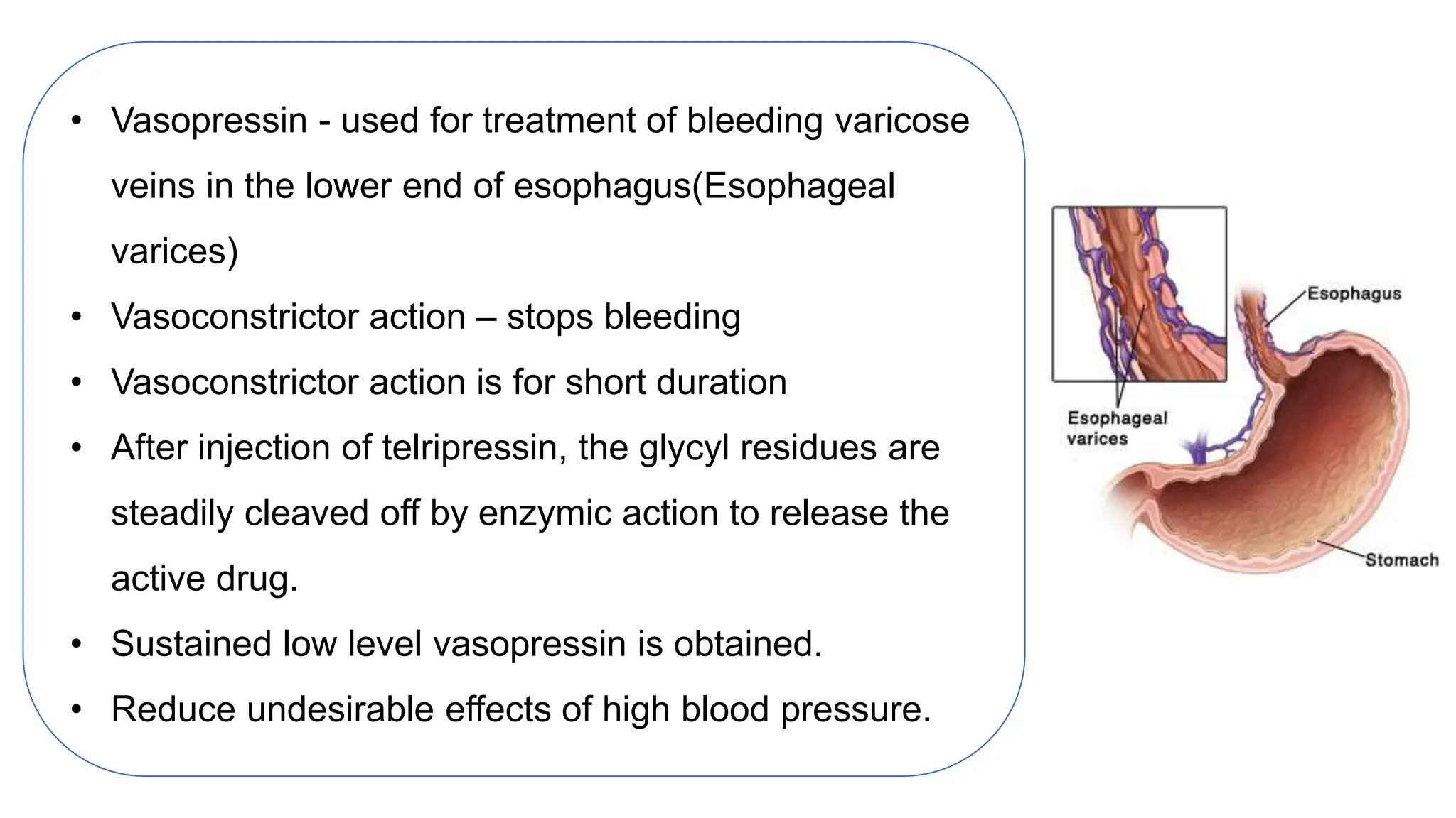 Prodrug design for Sustained Drug action -.KB.pptx