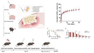 Prodrug design for Sustained Drug action -.KB.pptx