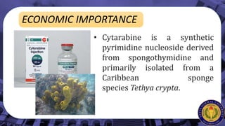 SUSTAINING AQUATIC BIODIVERSITY.pptx