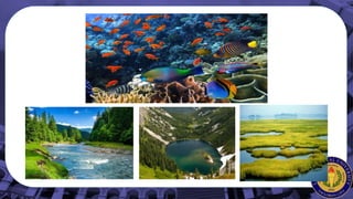 SUSTAINING AQUATIC BIODIVERSITY.pptx