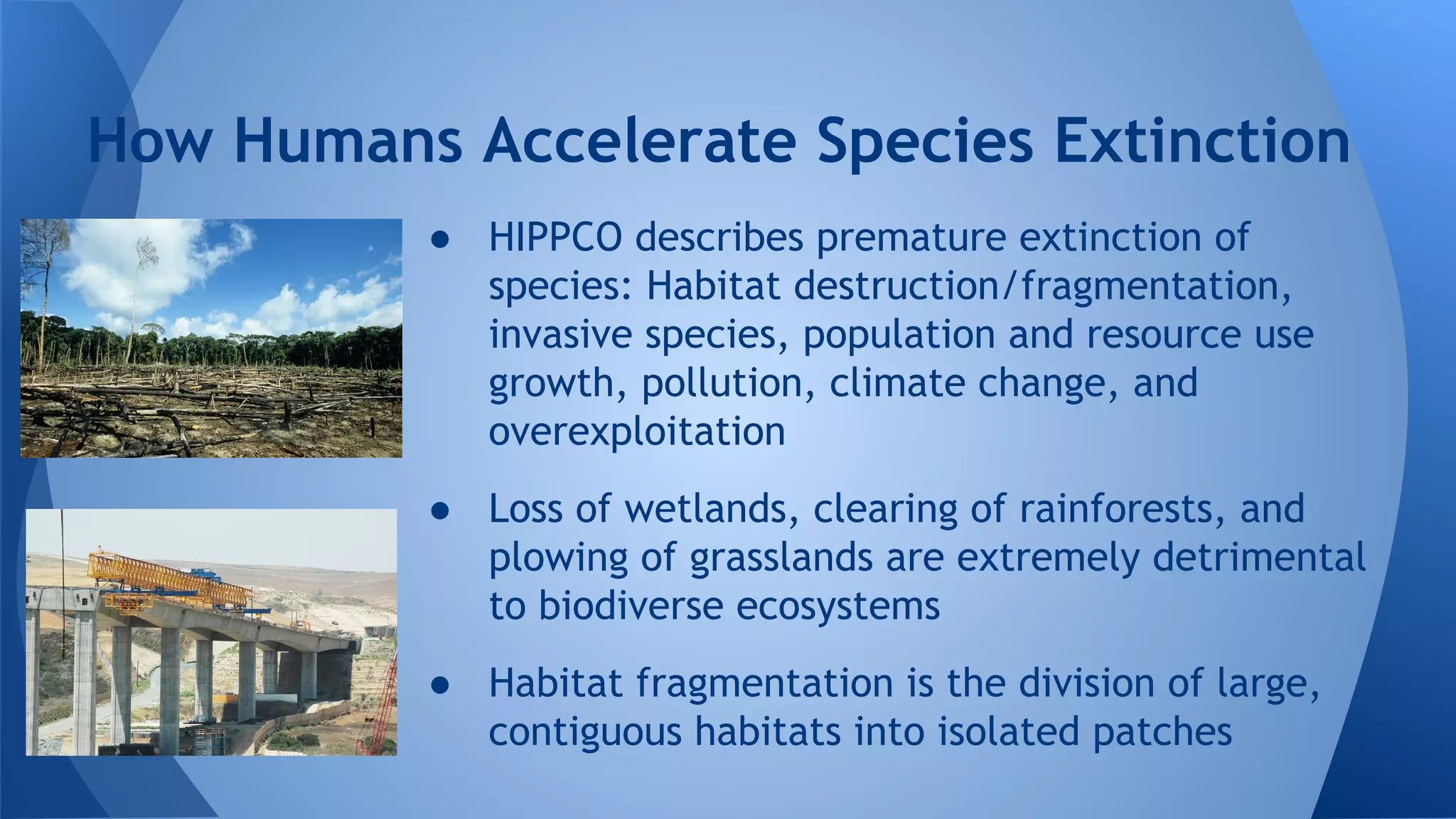 Sustaining Biodiversity | PDF