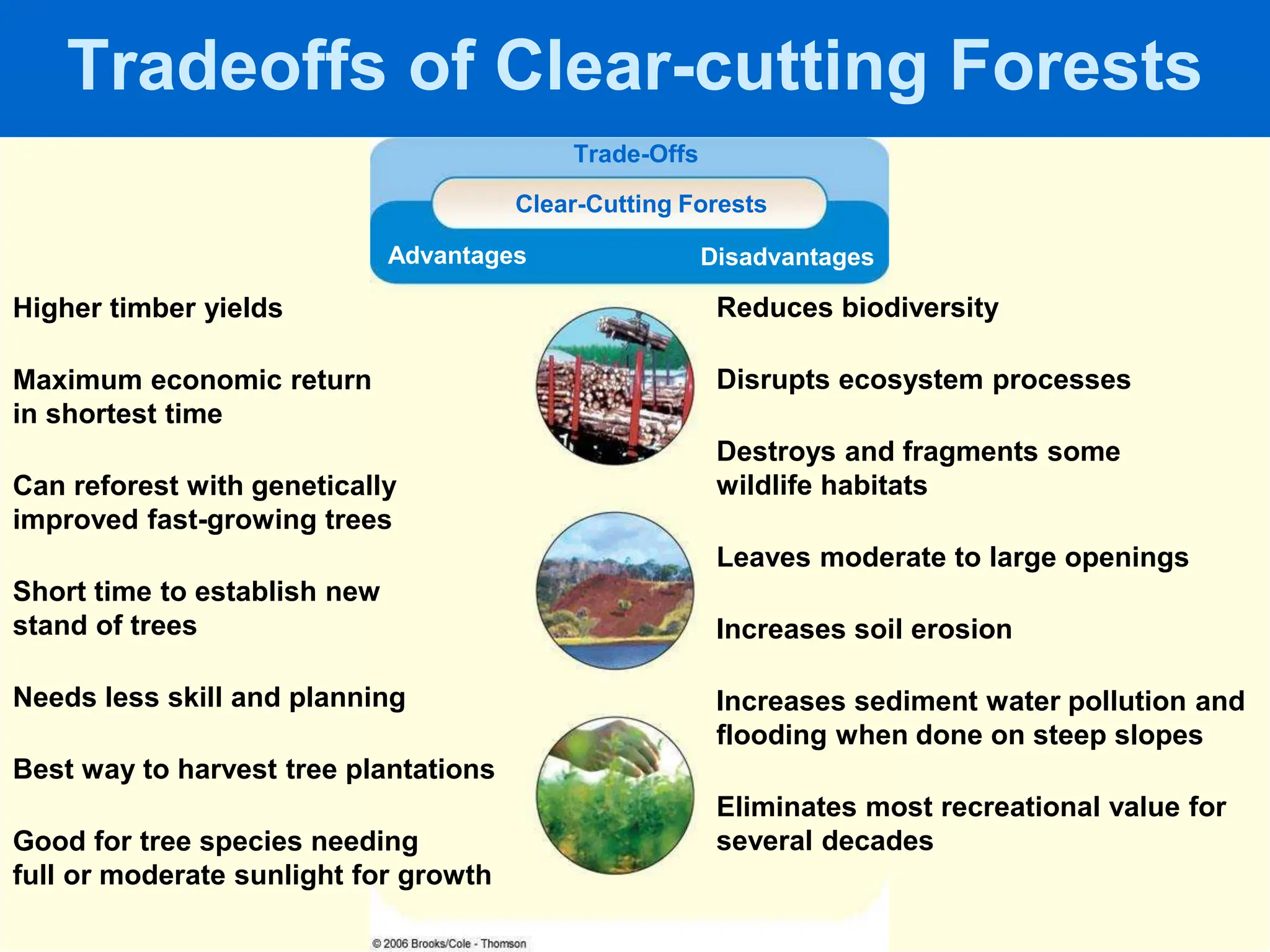 sustaining biodiversity.pptx