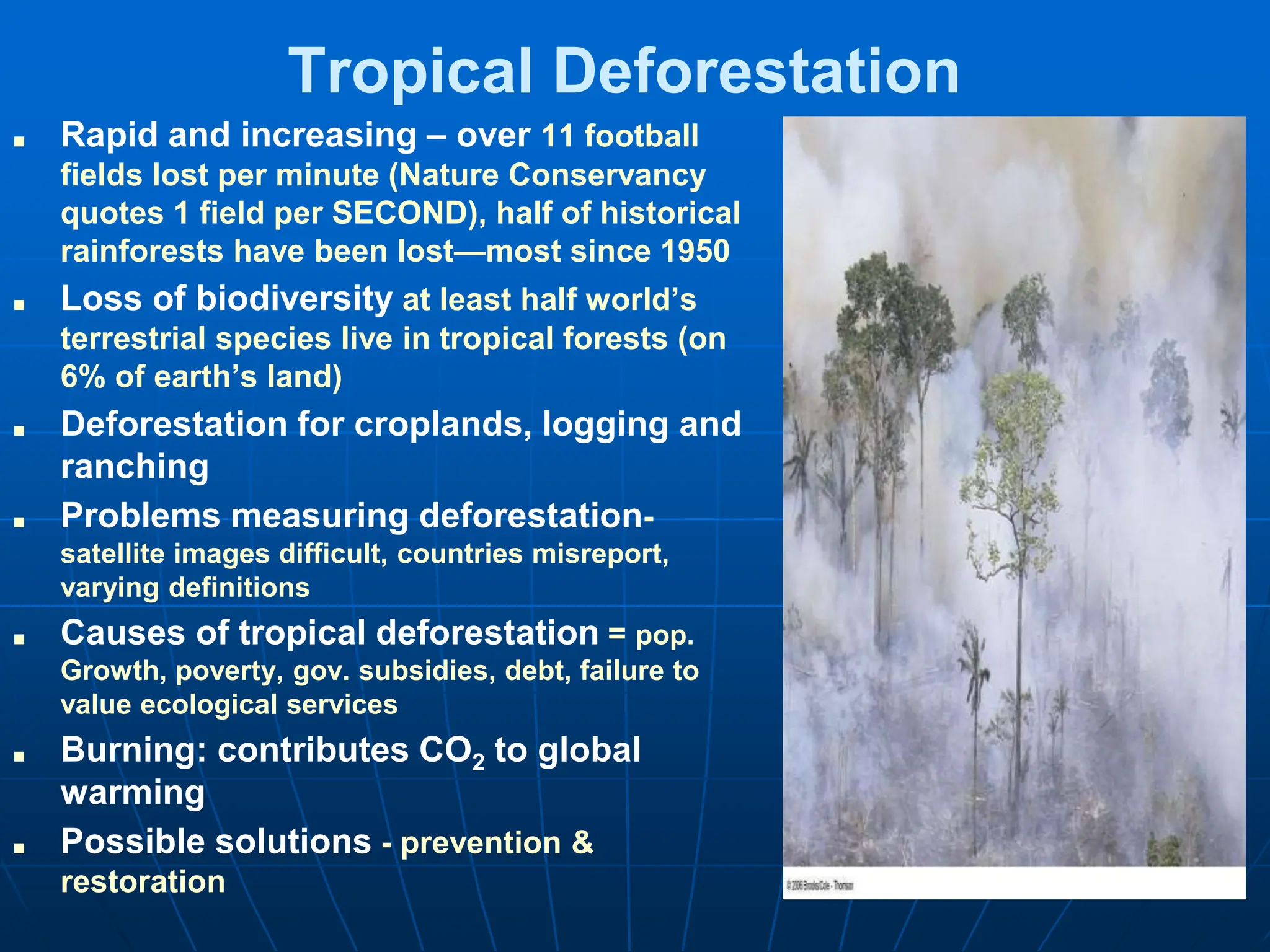 sustaining biodiversity.pptx