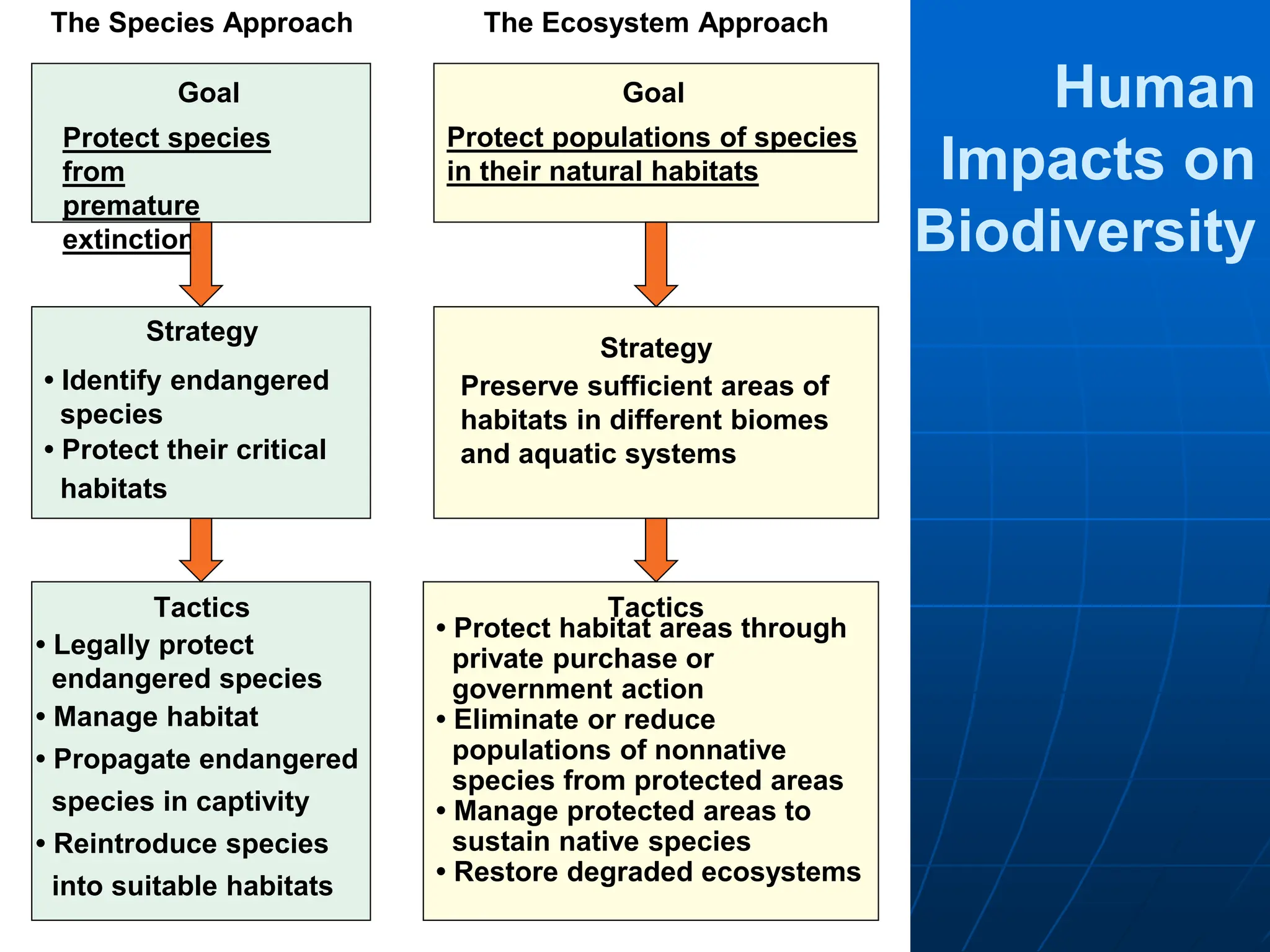 sustaining biodiversity.pptx