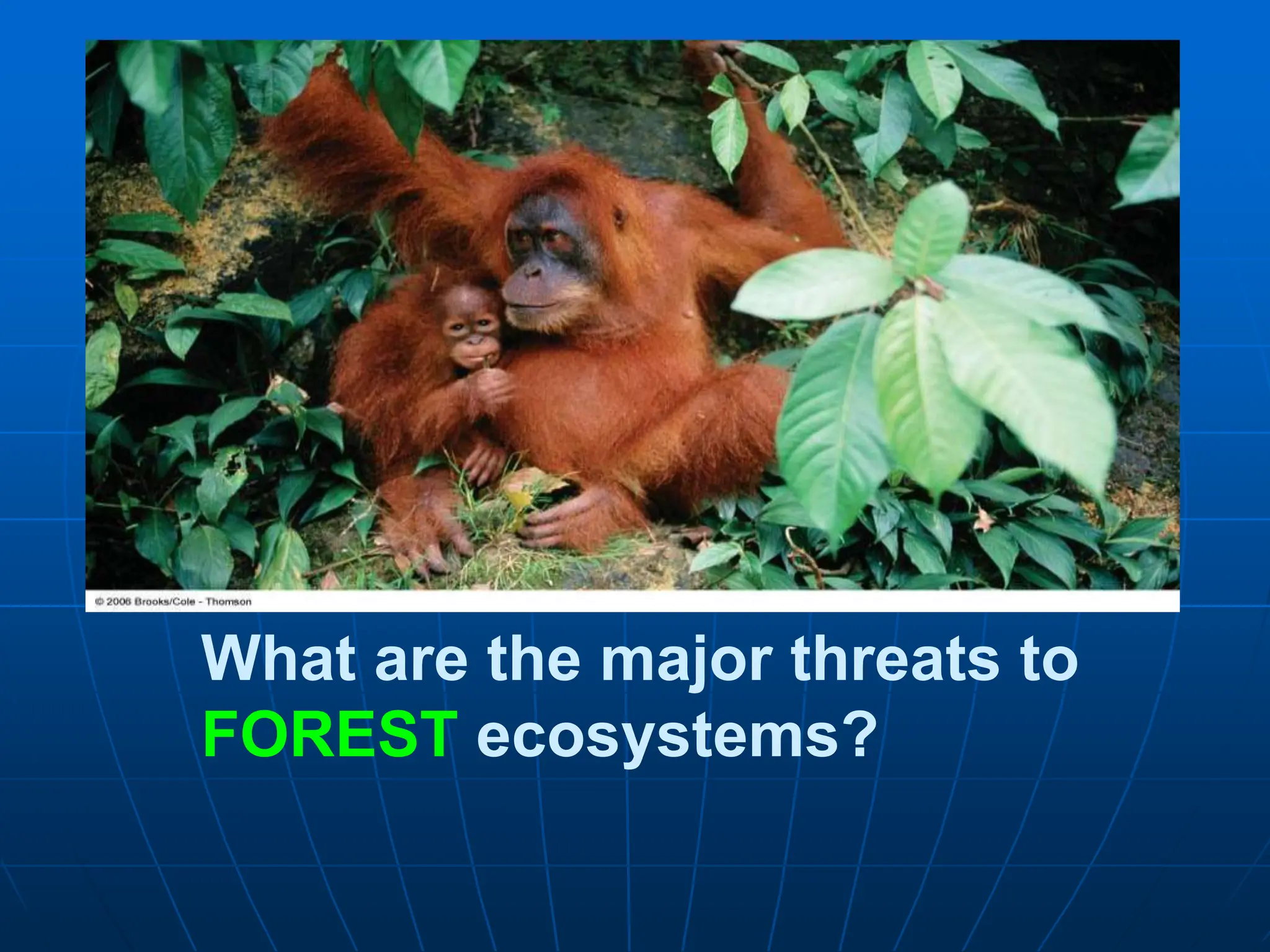 sustaining biodiversity.pptx