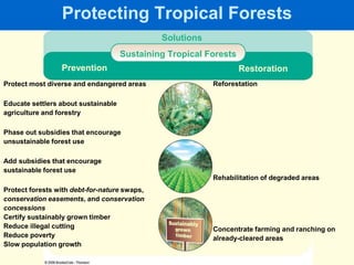 sustaining biodiversity.pptx