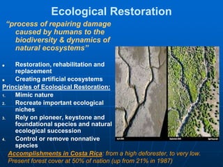 sustaining biodiversity.pptx