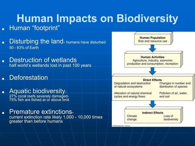 sustaining biodiversity.pptx | Environmental Services Industry | Industries