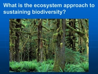 sustaining biodiversity.pptx