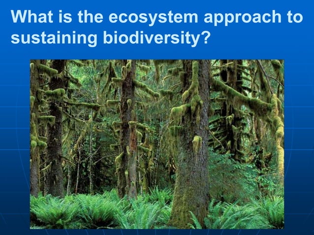 sustaining biodiversity.pptx | Environmental Services Industry | Industries