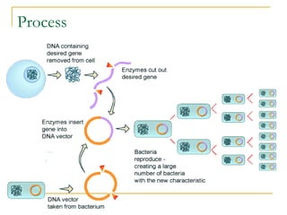 Sustaining Our Future | PPT | Agriculture | Industries