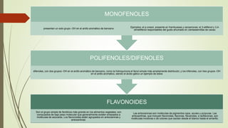 SUSTANCIAS BIOACTIVAS PRESENTES EN LOS ALIMENTOS | PPTX