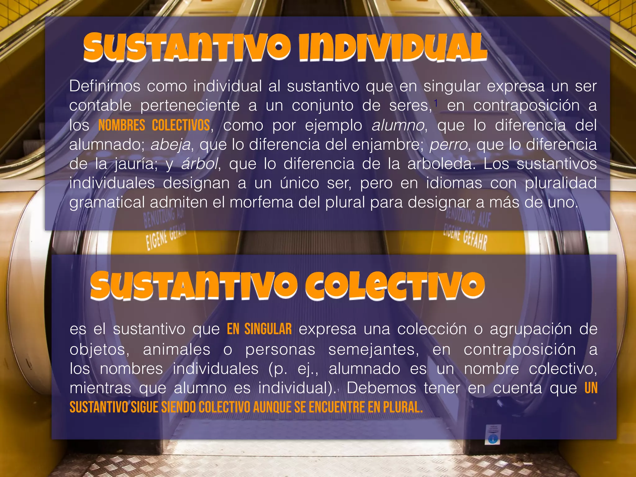 Morfología visual del sustantivo (individual y colectivo) | PPT