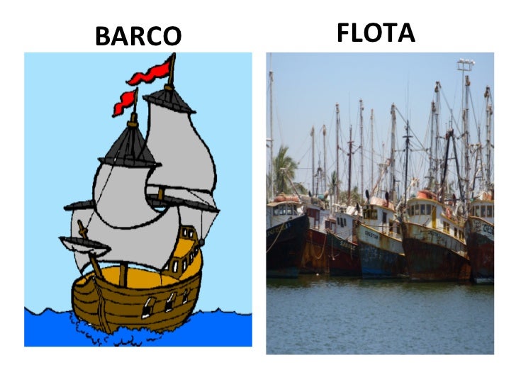 Sustantivos colectivos