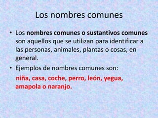 Sustantivos y adjetivos | PPTX
