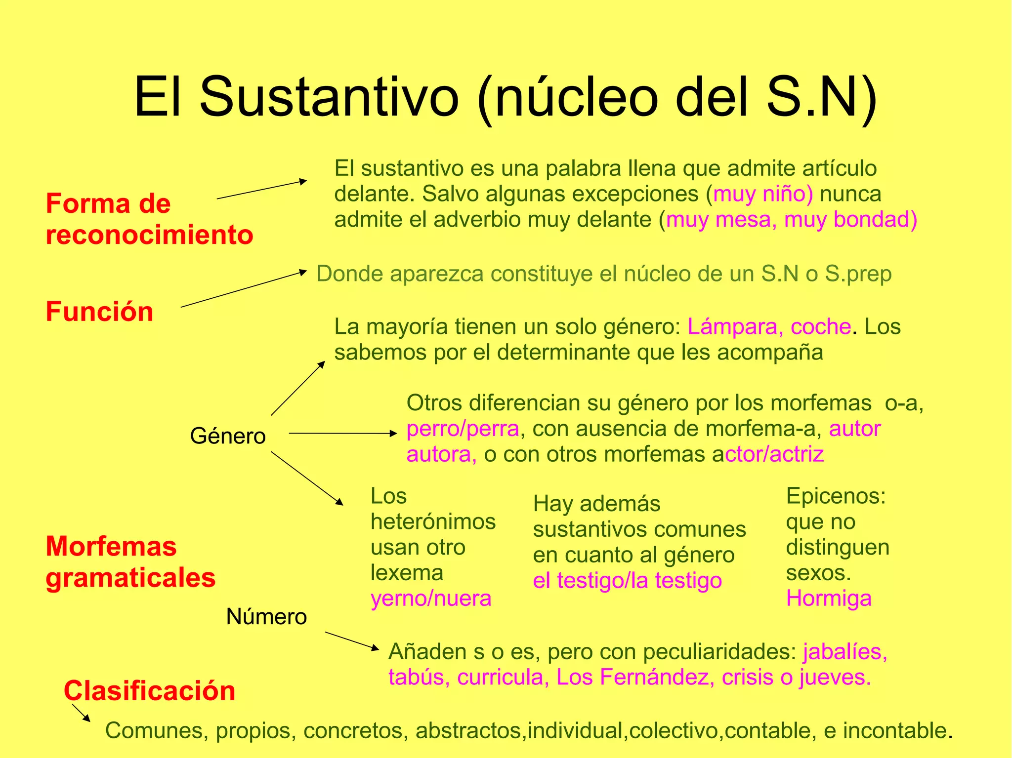 Sustantivo y adjetivo | PPT