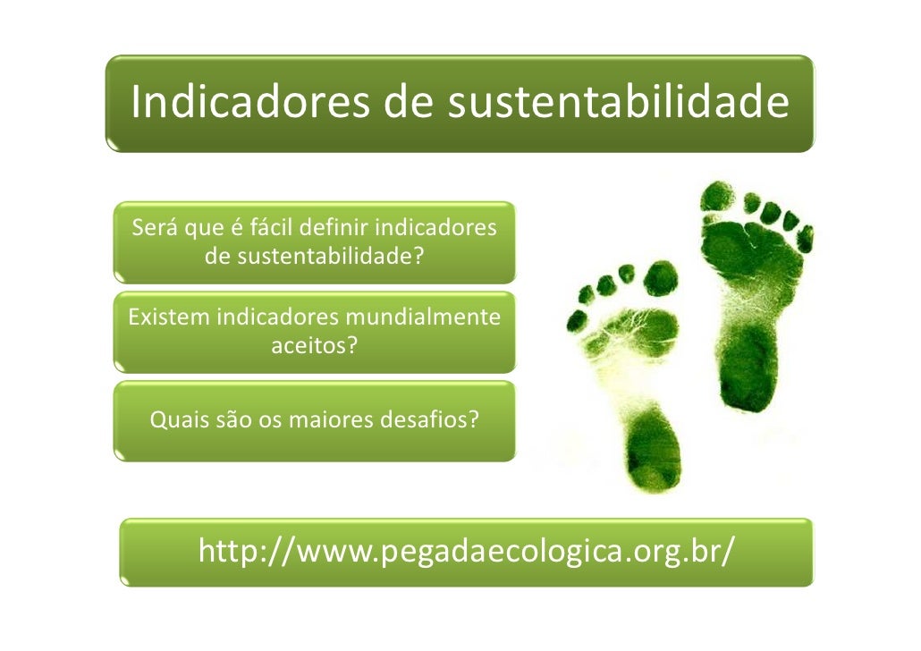 Sustentabilidade: Conceitos e Definições