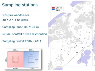 Sustainable Mussel Culture | PDF
