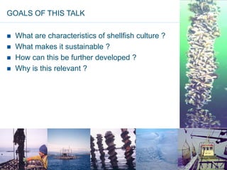 Sustainable Mussel Culture | PDF