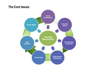 Corporate Sustainability Reporting | PDF